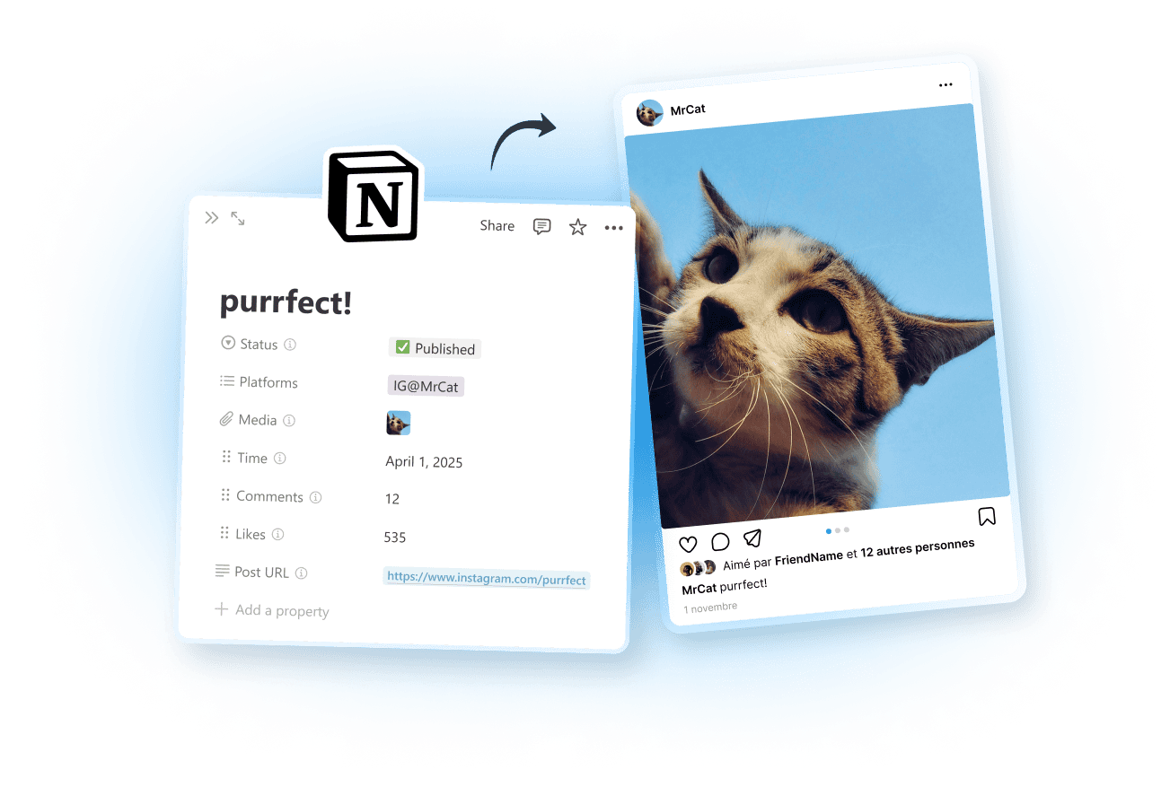 Notionsocial